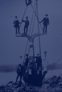 Home - The Dutra Group